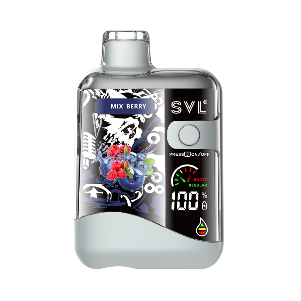 SVL BX12000 12000 Puffs Disposable Vape – SVL VAPE
