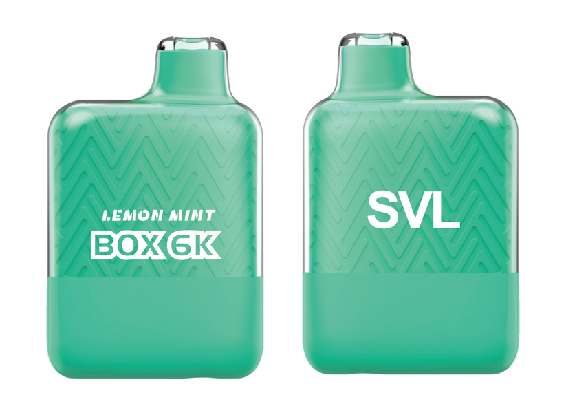 SVL BOX 6K 6000 Puffs Disposable Vape – SVL VAPE