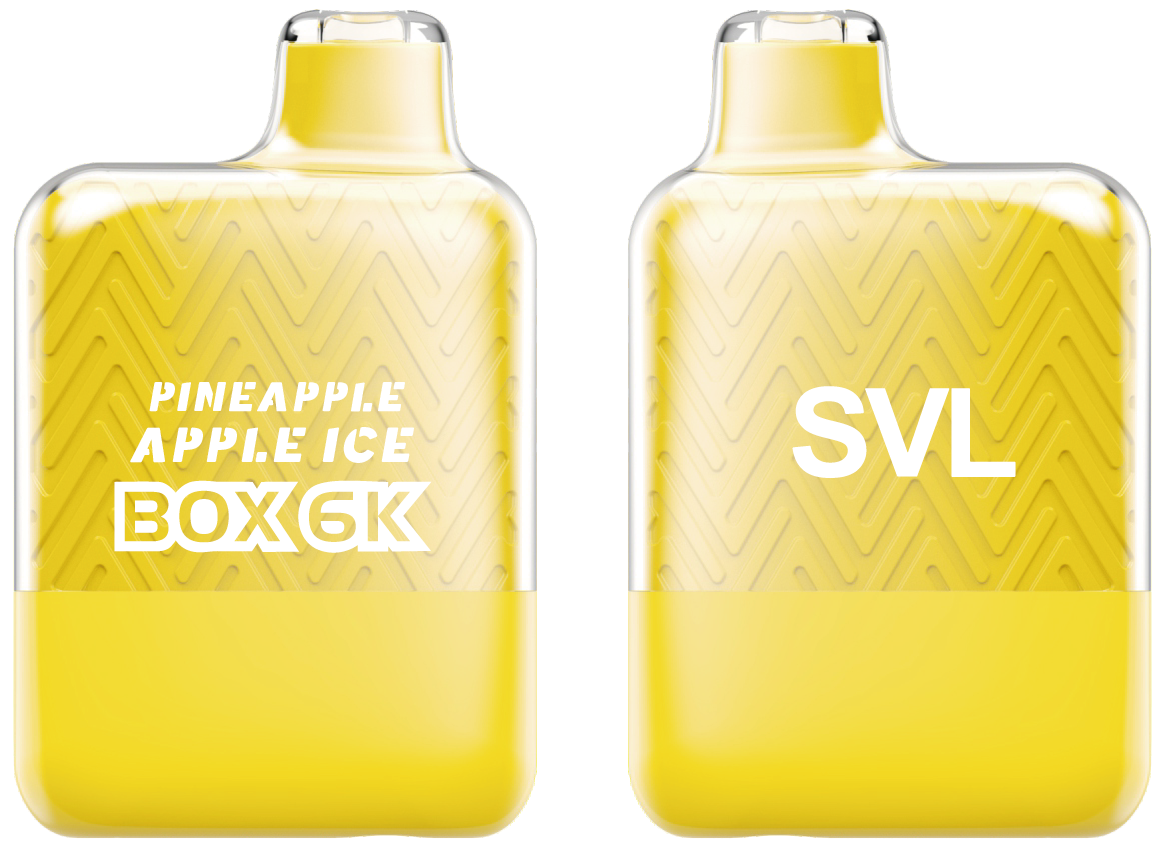 SVL BOX 6K 6000 Puffs Disposable Vape – SVL VAPE