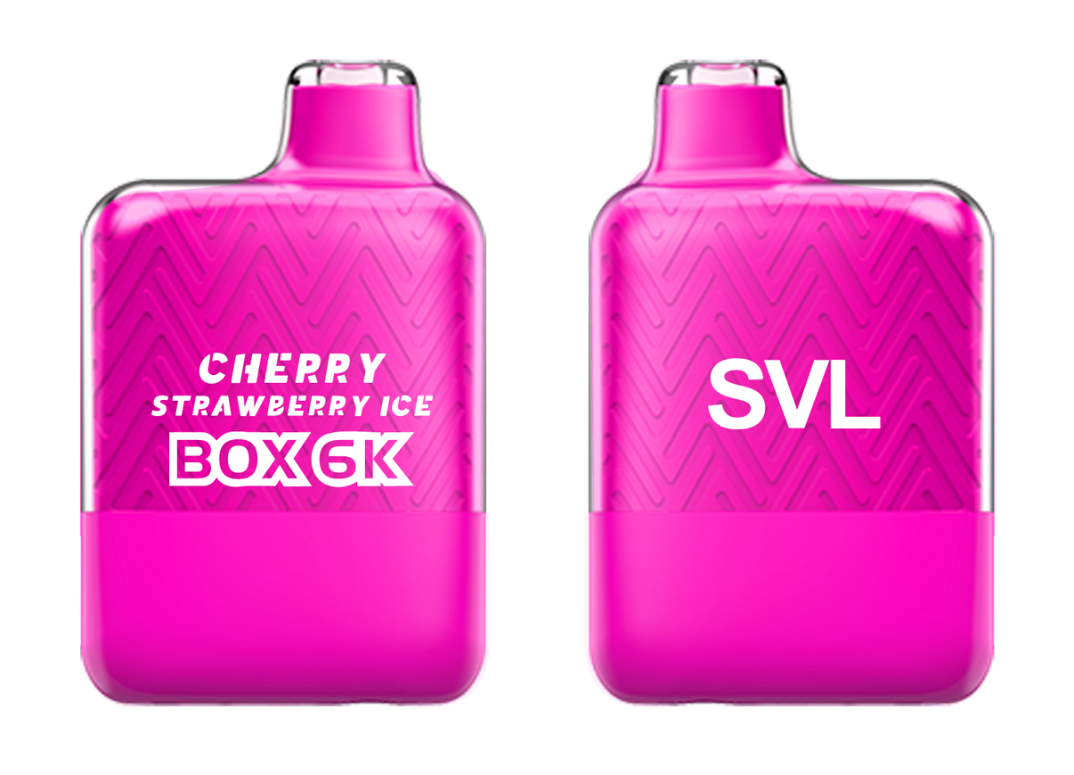 SVL BOX 6K 6000 Puffs Disposable Vape – SVL VAPE